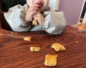 63 Safe Baby-Led Weaning Foods: The Ultimate Guide + Free Printable ...