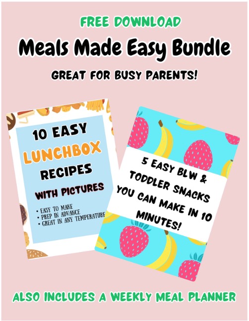 18 Easy School Lunch Ideas For Toddlers (Less than 30 Minutes) - BLW ...